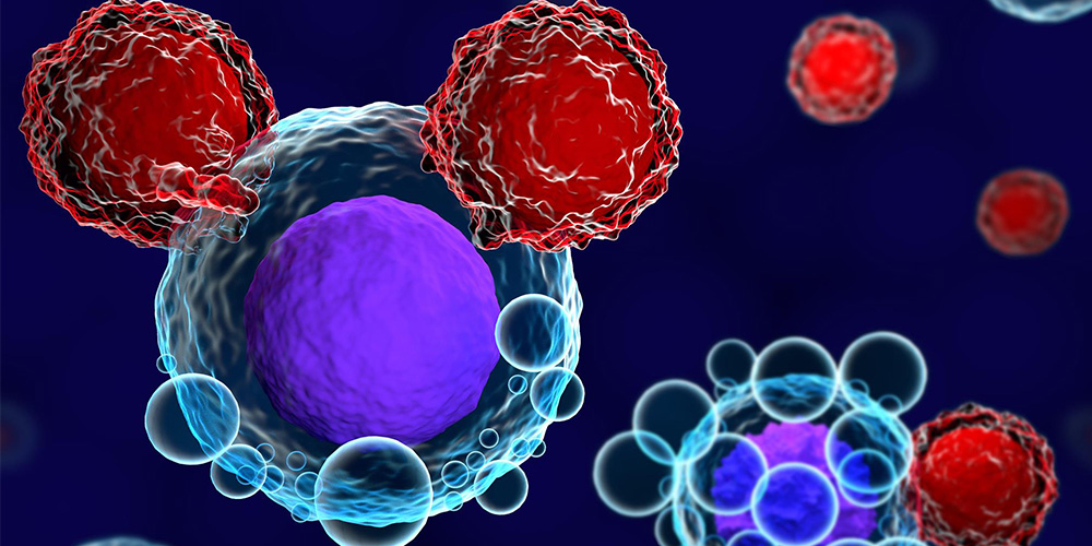 Molecular jackhammers’ ‘good vibrations’ eradicate cancer cells ...